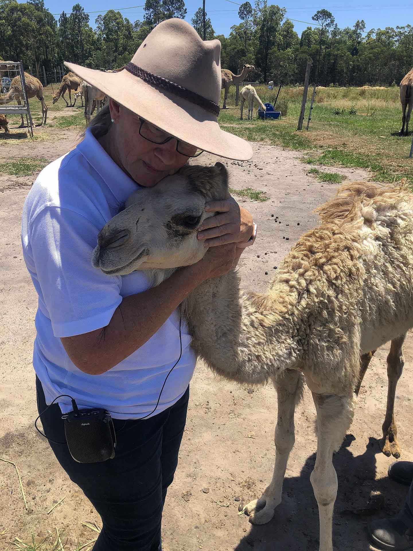 QCamel – Sunshine Coast - Bud Organic Club